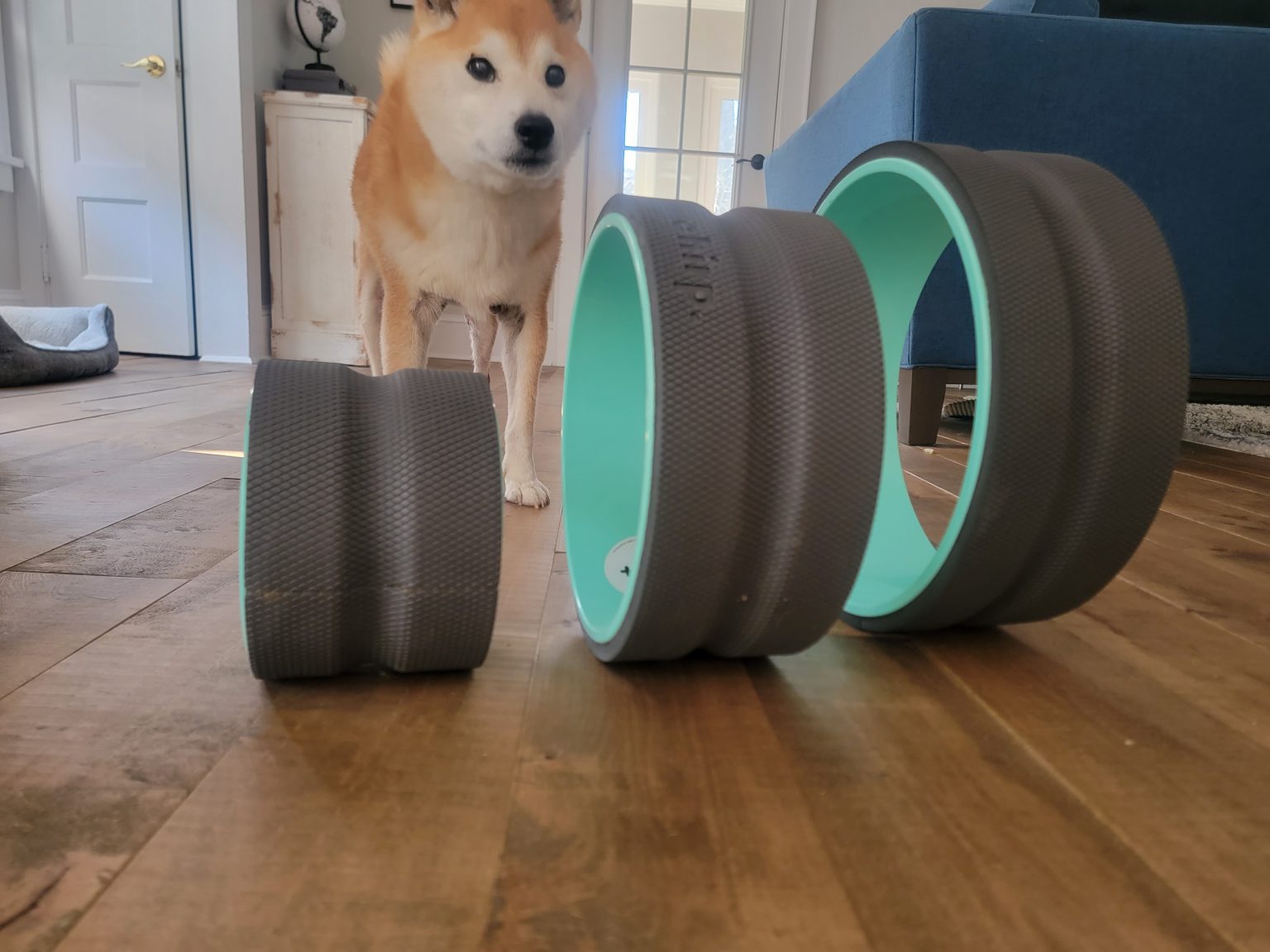 How to Use the Chirp Wheel to Improve Your Pickleball Stretches ...